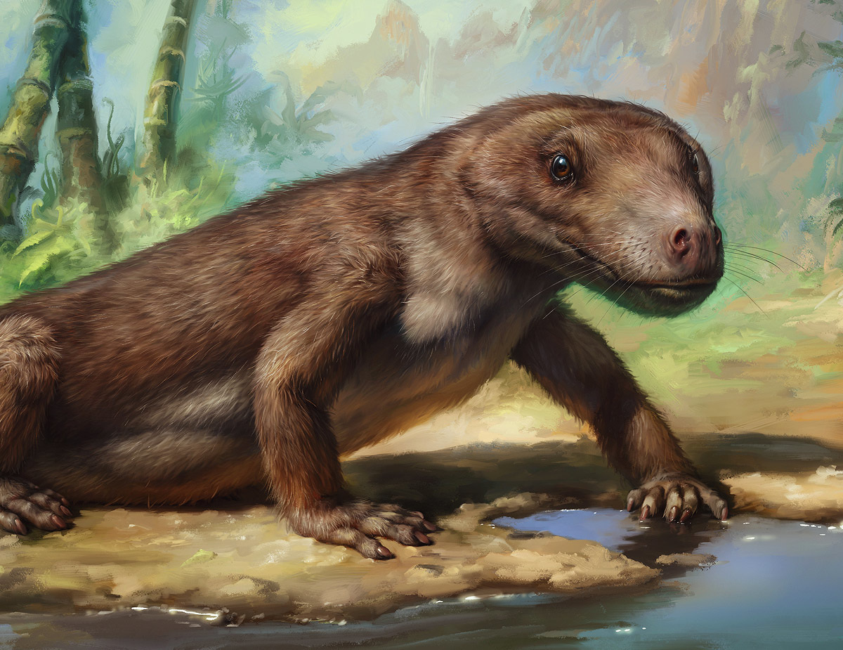 Bauria - The Art of Eldar Zakirov